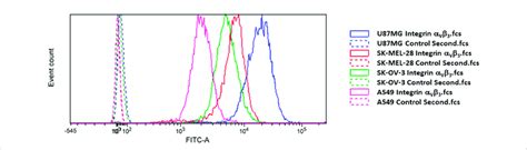 Flow Cytometry Analysis Of Integrin α V β 3 Receptor Level Of Download Scientific Diagram