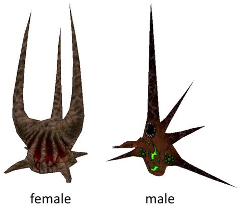Classic Sexual Dimorphism Bullshit Girls Always Have To Be Curvy And