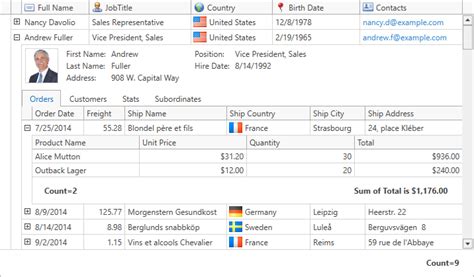 wpf data grid control wpf datagridview component viblend