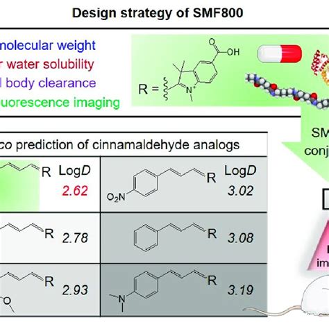 Scheme 1 Rational Design Strategy Of Cinnamaldehyde Based Small