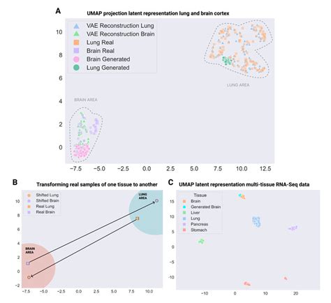 Umap Visualization Of β Vae Embedding Of Multi Tissue Expression