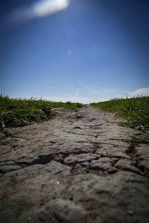 Way Free Stock Photo Public Domain Pictures