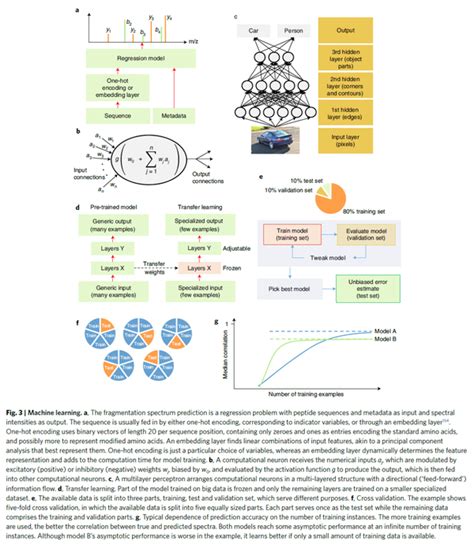 Nat Biotechnol 用机器学习预测多肽质谱库 知乎