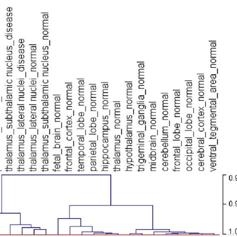 Hierarchical Clustering Of The Brain Tissue Networks Using Graphlet