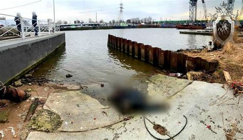 У Музея Мирового океана в Преголе сделали страшную находку