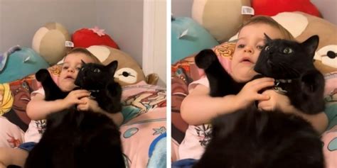 Momenti Viral Macja E Zezë Dhe Vajza Që Nuk E Lëshonin Njëri Tjetrin Telegrafi