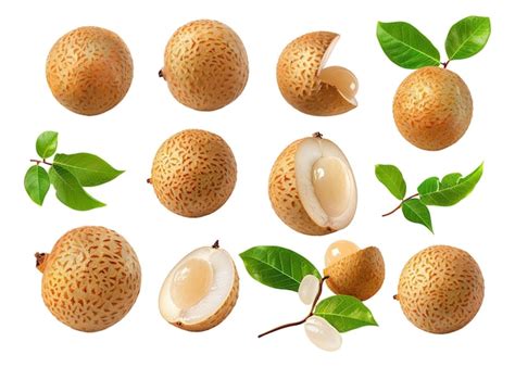 Longan Isolated Premium Ai Generated Image