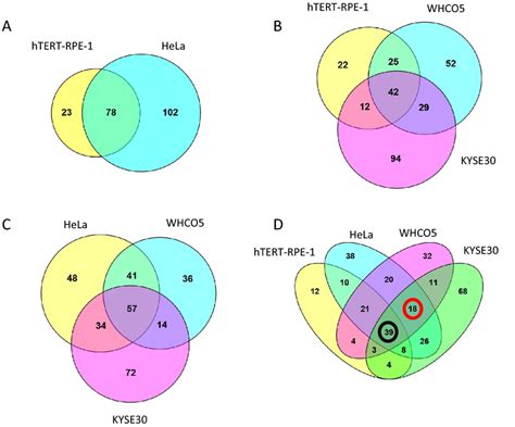 Venn Diagrams Of Binding Partners Of Kpnβ1 Identified Using Ip Ms Venn
