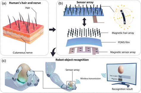 Magnetic Tactile Sensor With Bionic Hair Array For Sliding Sensing And
