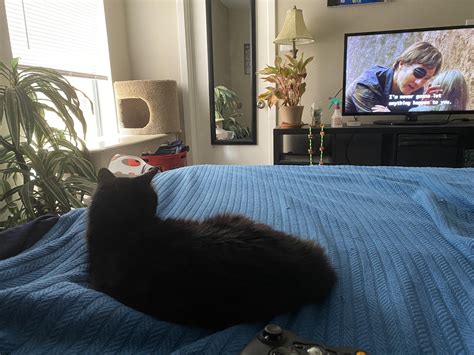 Eleanor Helping Me With The Second Go Around Of Twd R Thewalkingdead