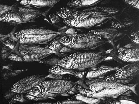 Li Yong Hong S Portfolio Li Yong Hong Illustrator Artofit