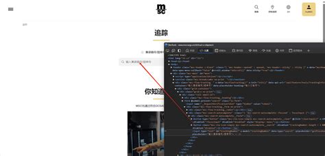 帮后端同事爬数据记录二 Blog Of Codesigner顾炯洋