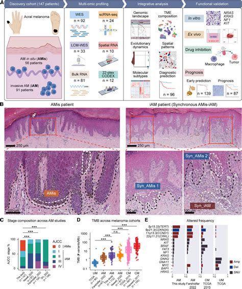 Integrative Molecular And Spatial Analysis Reveals Evolutionary