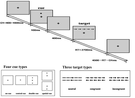 Reversible Affective Symptoms And Attention Executive Control Network Ndt
