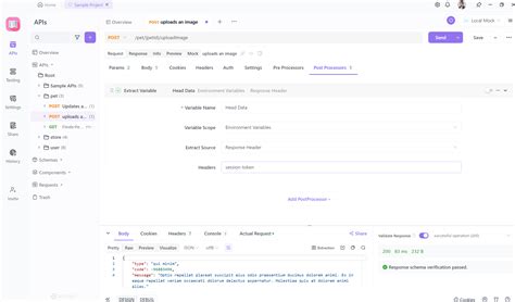Tips For Extracting Api Response Data In Apidog