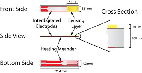 Schematic Drawing Of A Sensor Substrate With A Sensing Layer Yellow