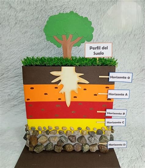 Maqueta Tipos De Suelo Ejemplos De Maquetas Tipos De Suelo Capas