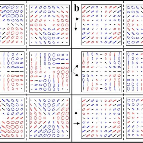 Polarization Distributions Of Vector Beams Superposed By Two Orthogonal