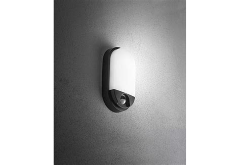 რაოდენობა