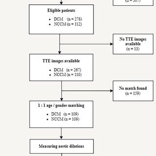 Flowchart Study Design Rhf Rijnmond Heart Failure Cardiomyopathy
