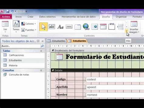 que es un formulario en access skuylahhu 2