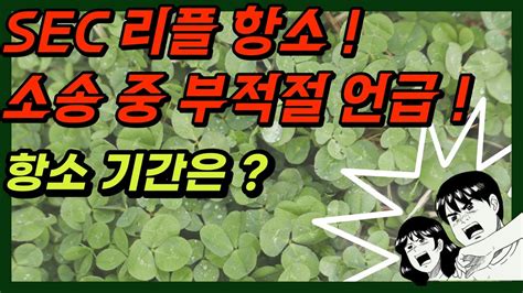 Sec 리플 항소 소송 중 부적절 언급 항소 기간은 리플 리플코인 리플코인전망 리플코인시세 Youtube