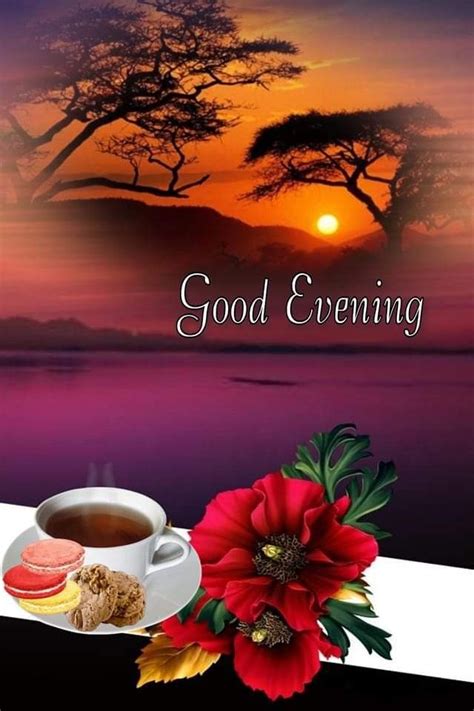 Goms Bala adlı kullanıcının Good Evening panosundaki Pin