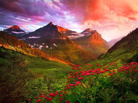 Mountain Flowers Hills Peaks Grass High Mountain Summer Clouds