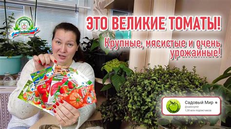 Великие томаты! - YouTube