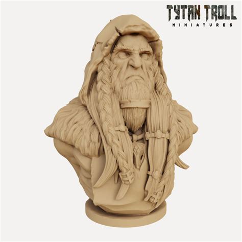 Human Druid 3d Printed Bust — Empire Of Minis