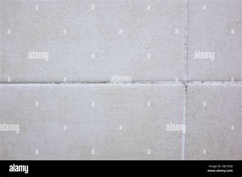 Mold On Tile Joints On Grout Between Tiles In Bathroom In Shower Cabin Close Up Concentration
