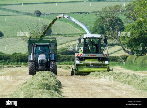 Claas Jaguar 850 Self Propelled Forager Chopping Grass And Loading