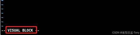 Vim编辑器怎么增加和删除多行注释 Vim批量注释及删除注释的技巧 叮当号