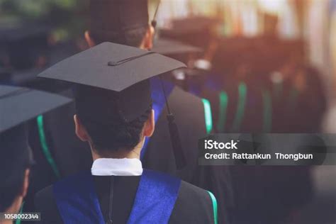 졸업 학생 손에 모자를 들고 대학 졸업 성공의 졸업생 컨셉 교육 축 졸업식 대학 졸업생을 축 하 합니다 소프트 포커스 3차원 형태에 대한 스톡 사진 및 기타 이미지 Istock