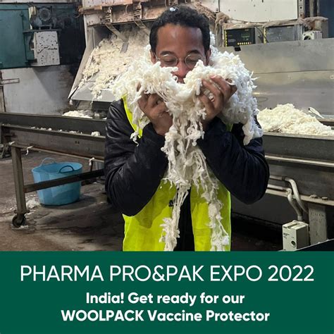 Woolpack And Planet Protector Packaging Saving The Planet One Pack At A Time Helen Walters Dip