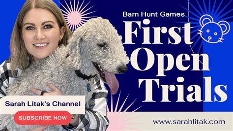 Barn Hunt — Our First Open Trials Youtube