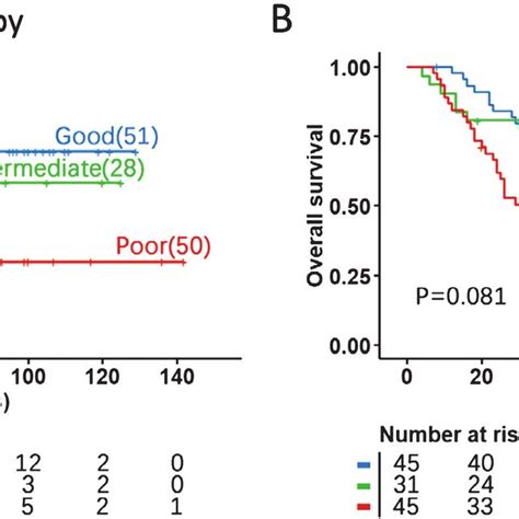 The Predictive Value Of The 53 Gene Prognostic Score In Gastric Cancer