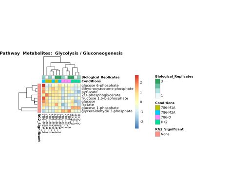 Standard Metabolomics • Metaproviz