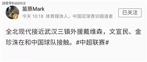 名记曝戴维森将加盟全北；三镇已签196米外援中锋，比马尔康更猛久巴中超媒体