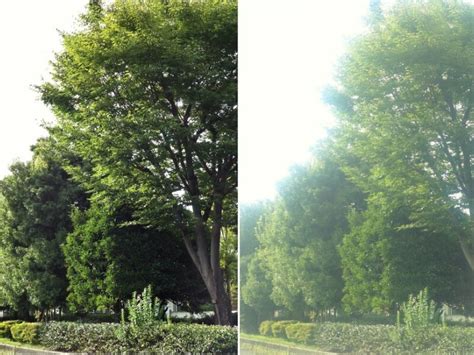一般眼科のご相談は箕面市の小児眼科「辻川眼科」
