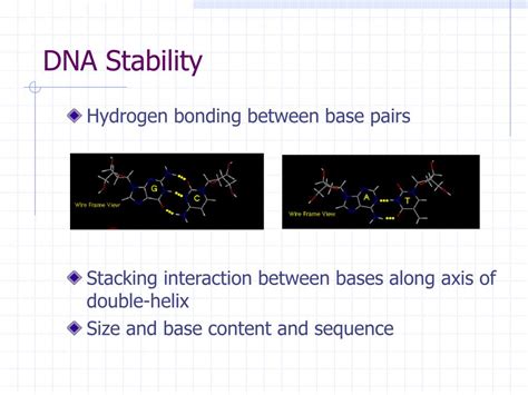 Ppt Dna Based Biosensors Powerpoint Presentation Free Download Id