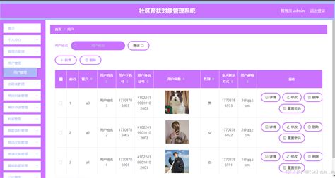 基于spring Boot的社区帮扶对象管理系统的设计与实现社区智能帮扶ui Csdn博客