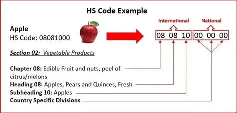 What Are HS Codes For LED Products My LiKe Led