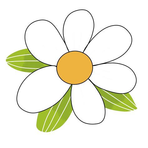 Margarita Flor Con Hoja Mano Dibujado 23377609 Png