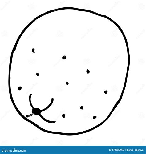 Orange Fruit Sketch Vector Isolated Icon Of Fresh Whole Citrus Orange