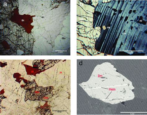 Photomicrograph Of Pyroxene Gneiss Showing A Mineral Association Of