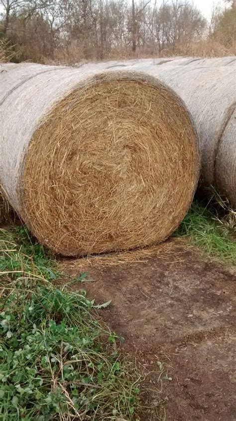 White House Farms Netwrapped Mixed Grass Hay