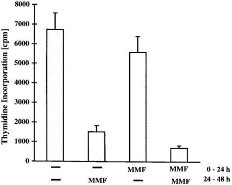 Reversibility Of Mycophenolate Mofetil Induced Inhibition Of Mesangial Download Scientific