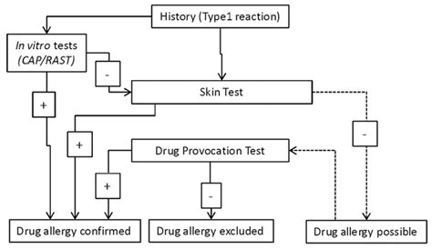 Flow Chart For The Evaluation Of Type 1 Hypersensitivity Drug