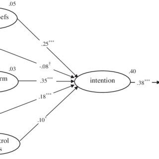The Effect Of Sex And Second To Fourth Digit Ratio On Motivation And Download Scientific